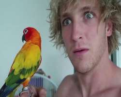 Logan Paul Birthday, Real Name, Age, Weight, Height, Family, Facts ...