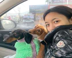 Luna (Singer) Birthday, Real Name, Age, Weight, Height, Family, Facts ...