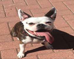 Mitchell Haworth Birthday, Real Name, Age, Weight, Height, Family ...