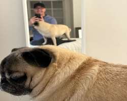 Paul Merrell Birthday, Real Name, Age, Weight, Height, Family, Facts ...