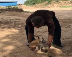 Ram Aujla Birthday, Real Name, Age, Weight, Height, Family, Facts ...