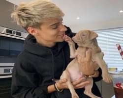 Raphael Gomes Birthday, Real Name, Age, Weight, Height, Family, Facts ...