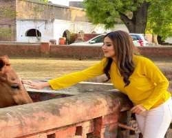 Riya Sharma Birthday, Real Name, Age, Weight, Height, Family, Facts ...