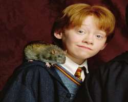 Ron Weasley Birthday, Real Name, Age, Weight, Height, Family, Facts ...