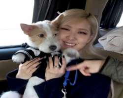 Rose (Singer) Birthday, Real Name, Age, Weight, Height, Family, Facts ...