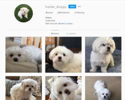 Sam Rouleau Birthday, Real Name, Age, Weight, Height, Family, Facts ...