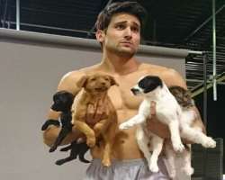 Scott Cavalheiro Birthday, Real Name, Age, Weight, Height, Family ...
