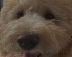 Signa Mae Birthday, Real Name, Age, Weight, Height, Family, Facts ...