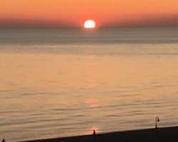 Simon Meacock Birthday, Real Name, Age, Weight, Height, Family, Facts ...