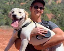 Steven Schapiro Birthday, Real Name, Age, Weight, Height, Family, Facts ...