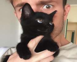 Thomas Brok Birthday, Real Name, Age, Weight, Height, Family, Facts ...