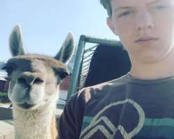 Tyler Bott Birthday, Real Name, Age, Weight, Height, Family, Facts ...