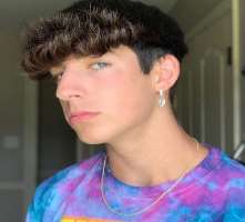 Tyler Brickeen Birthday, Real Name, Age, Weight, Height, Family, Facts ...