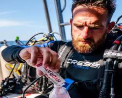 Tyler Toney Birthday, Real Name, Age, Weight, Height, Family, Facts ...