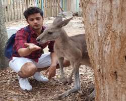 Vinay Rohrra Birthday, Real Name, Age, Weight, Height, Family, Facts ...