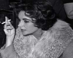 Elizabeth Taylor Birthday, Real Name, Age, Weight, Height, Family ...