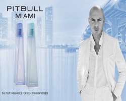 Pitbull Birthday, Real Name, Age, Weight, Height, Family, Facts ...